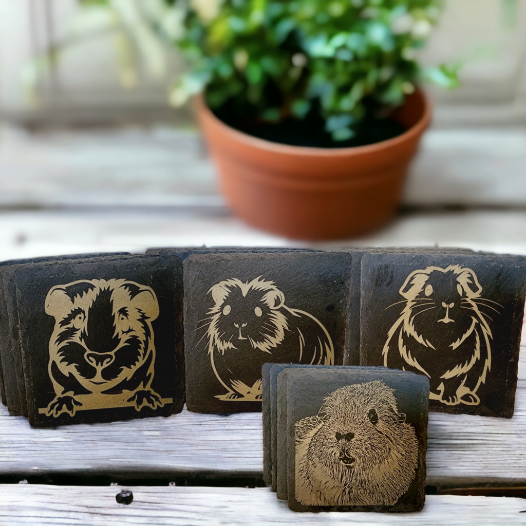 Guinea Pig Slate Coasters - Triple Dog Dare You Designs